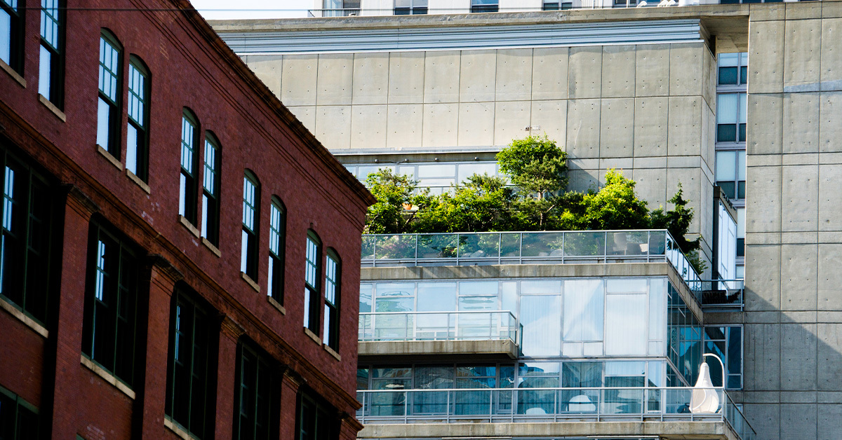 5 Notable Urban Farms in Chicago